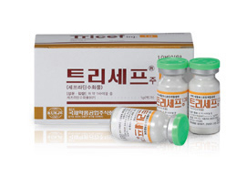 트리세프주2g Tricef Injection 2g 의약품 정보