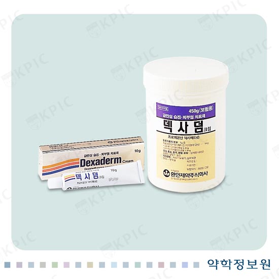 약학정보원