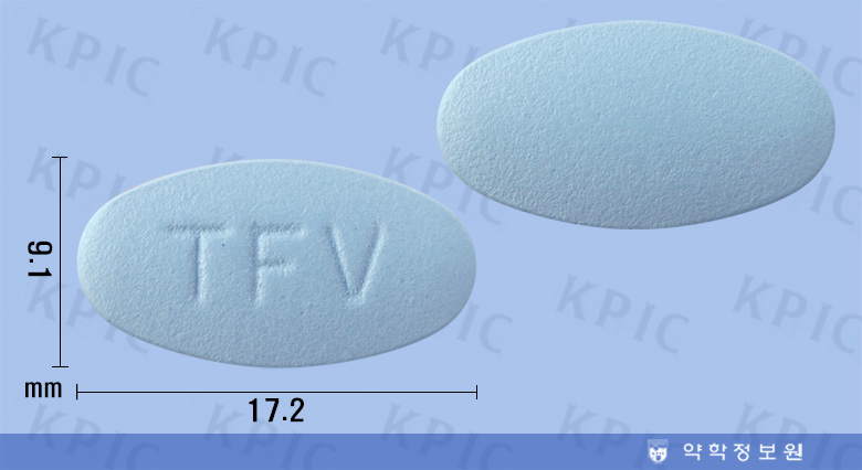 테포비어정 Tefovir Tab. 의약품 정보